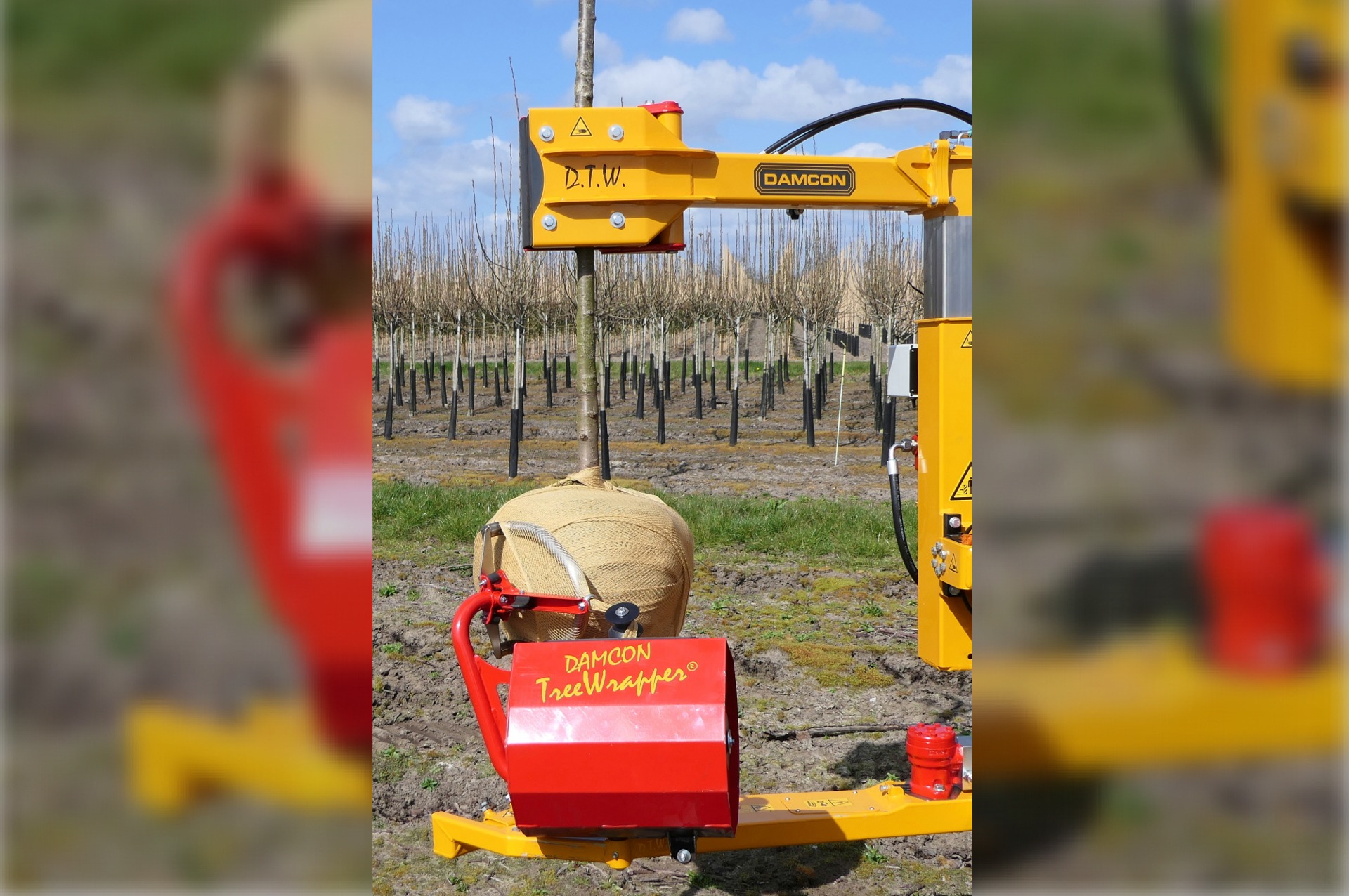 The Damcon Tree Wrapper® successfully tested!! - Damcon tree nursery ...